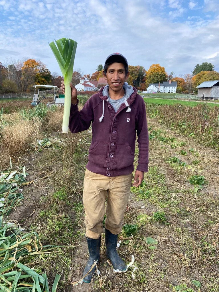 Leeks are in the hot seat... – Family Dinner