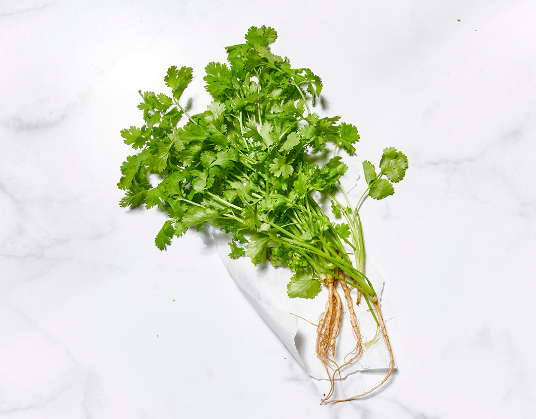 Organic Cilantro – Family Dinner